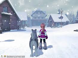 Husky Express - gra PC!