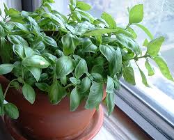 What can be added to pottery? - Page 4 - Suggestions & Ideas - Wurm ...