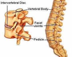 Lumbar Facet Joint Block - Doctor in Port Huron, MI